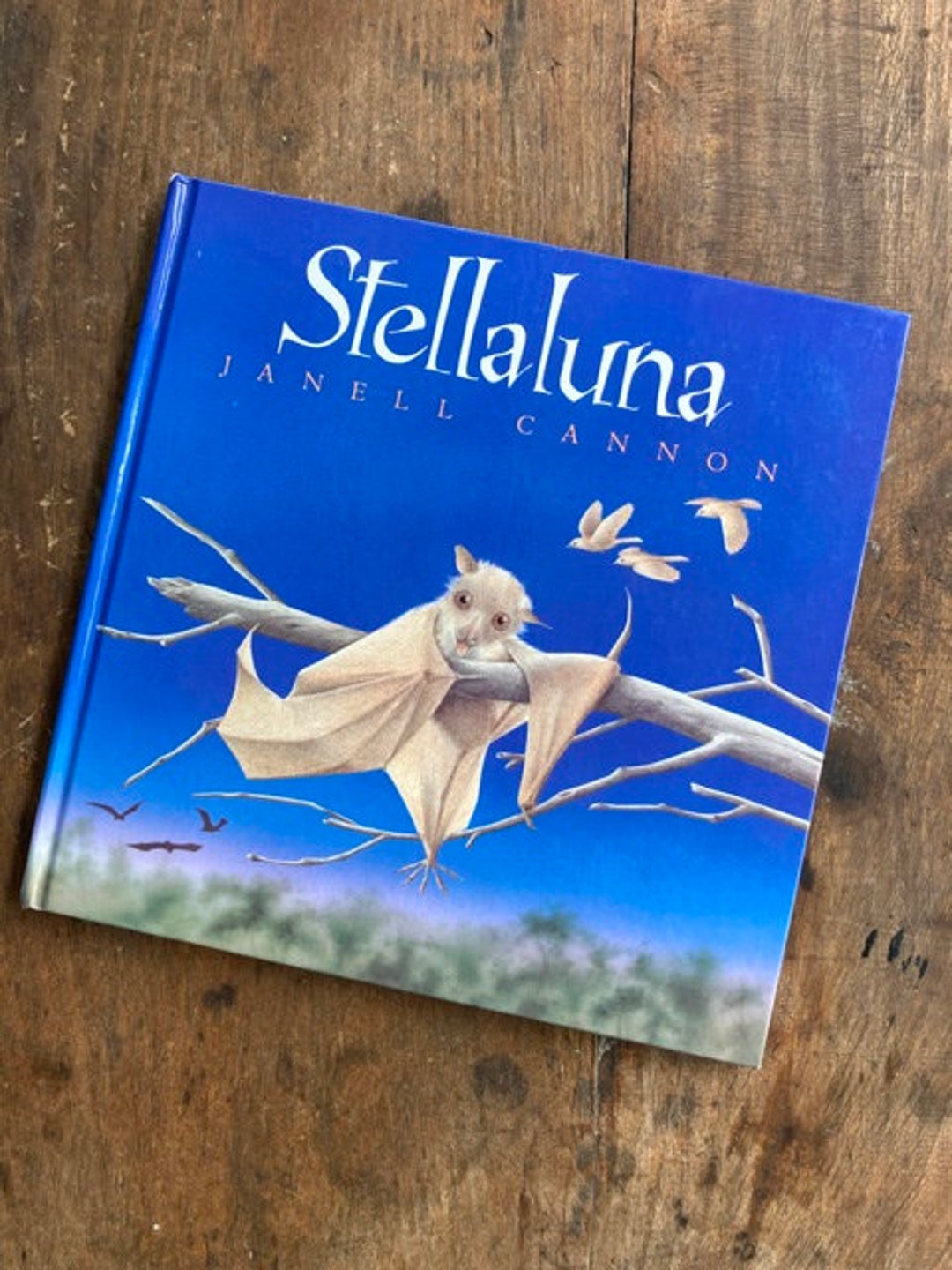 Stellaluna by Janell Cannon Reading Rainbow Book Classic Picture Book ...