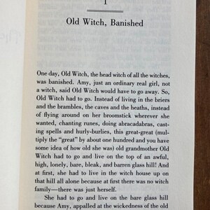 The Witch Family by Eleanor Estes Newbery Winning Author Illustrated by ...