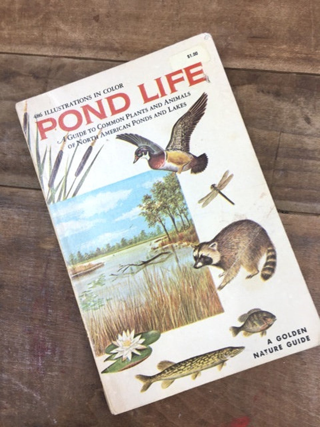 Pond Life A Golden Nature Guide to Common Plants and Animals of North ...
