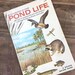 Pond Life A Golden Nature Guide to Common Plants and Animals of North ...
