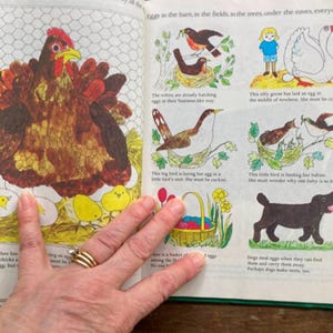 The Year at Maple Hill Farm & A Book of Seasons by Alice and Martin ...