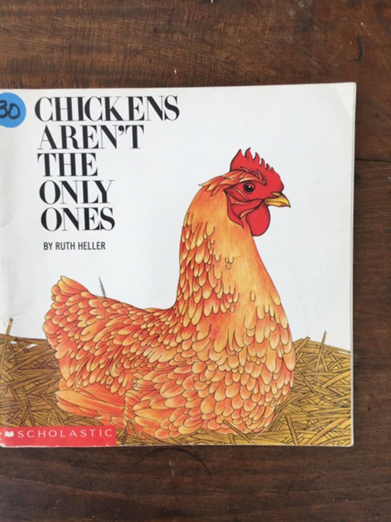 Chickens Aren't The Only Ones & Many Luscious Lollipops | Etsy