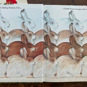 Chickens Aren't the Only Ones & Animals Born Alive and Well by Ruth ...