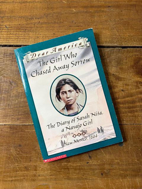 Dear America Book Series: Historical Fiction Diary - YOUR CHOICE of ...