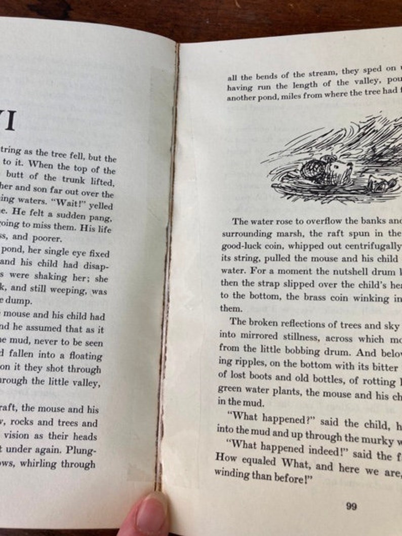 Stuart Little by E B White the Mouse and His Child by Russell - Etsy