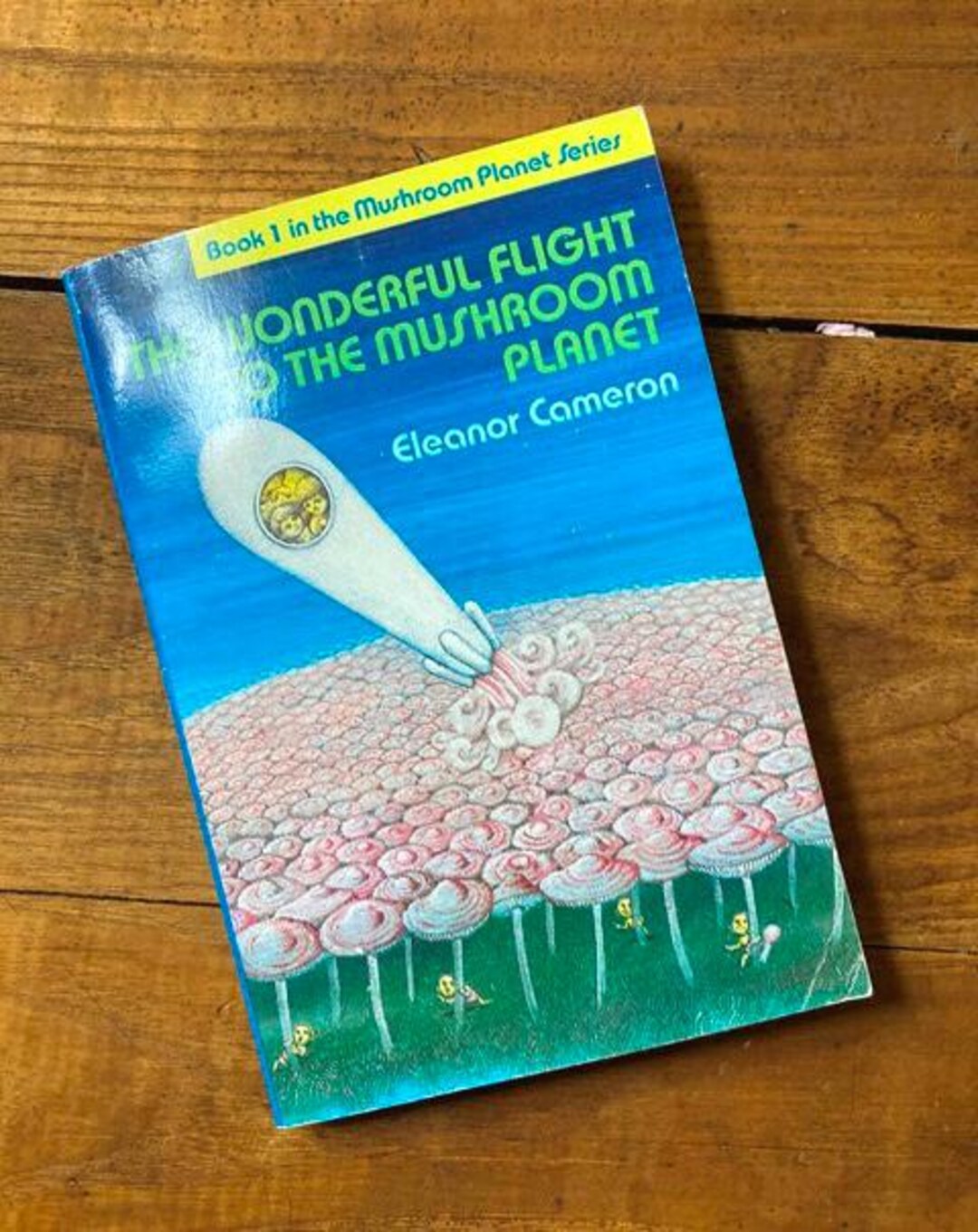 The Wonderful Flight to the Mushroom Planet by Eleanor Cameron Science ...