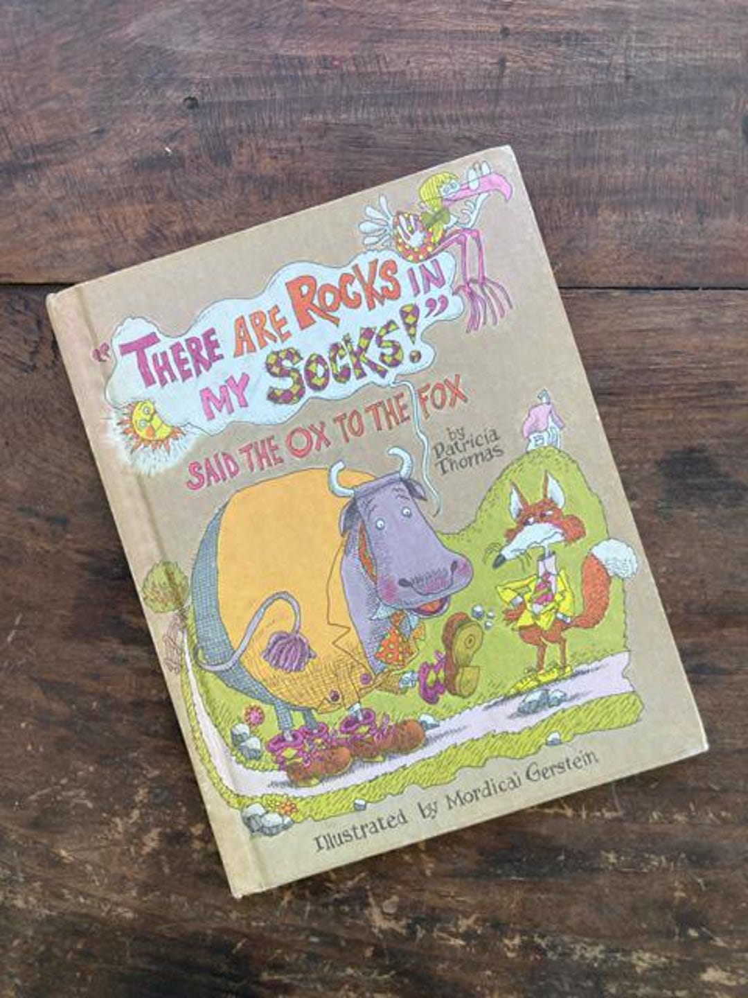 There Are Rocks in My Socks: Vintage Children's Book, 1979 - Etsy