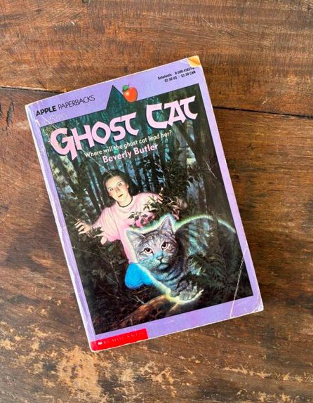 Ghost Cat by Beverly Butler Preteen Suspenseful Fiction 1988 Edition - Etsy