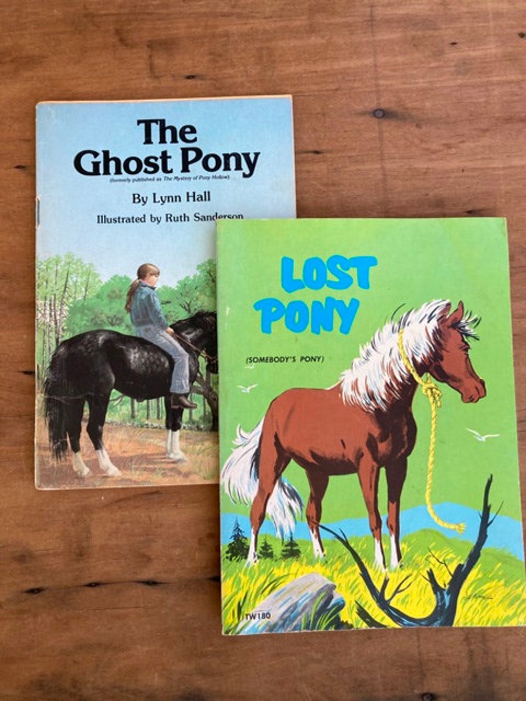 Lost Pony by Nancy Caffrey Illustrated by Robert Doremus & the Ghost ...
