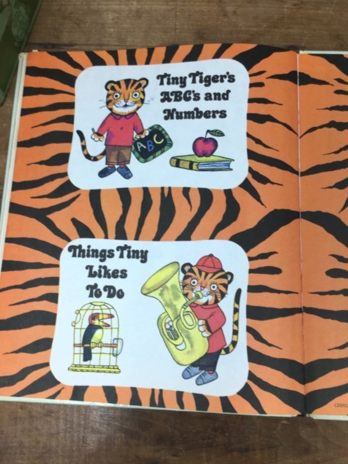Tiny Tiger Learns A Lot by J P Miller Children's Picture | Etsy