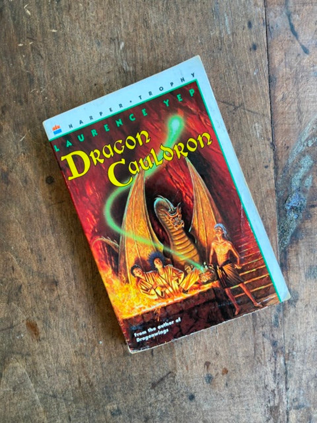 Dragon Cauldron by Laurence Yep Young Adult Fantasy Dragon Fiction - Etsy