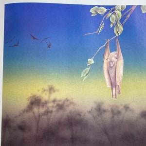 Stellaluna by Janell Cannon Reading Rainbow Book Classic Picture Book ...