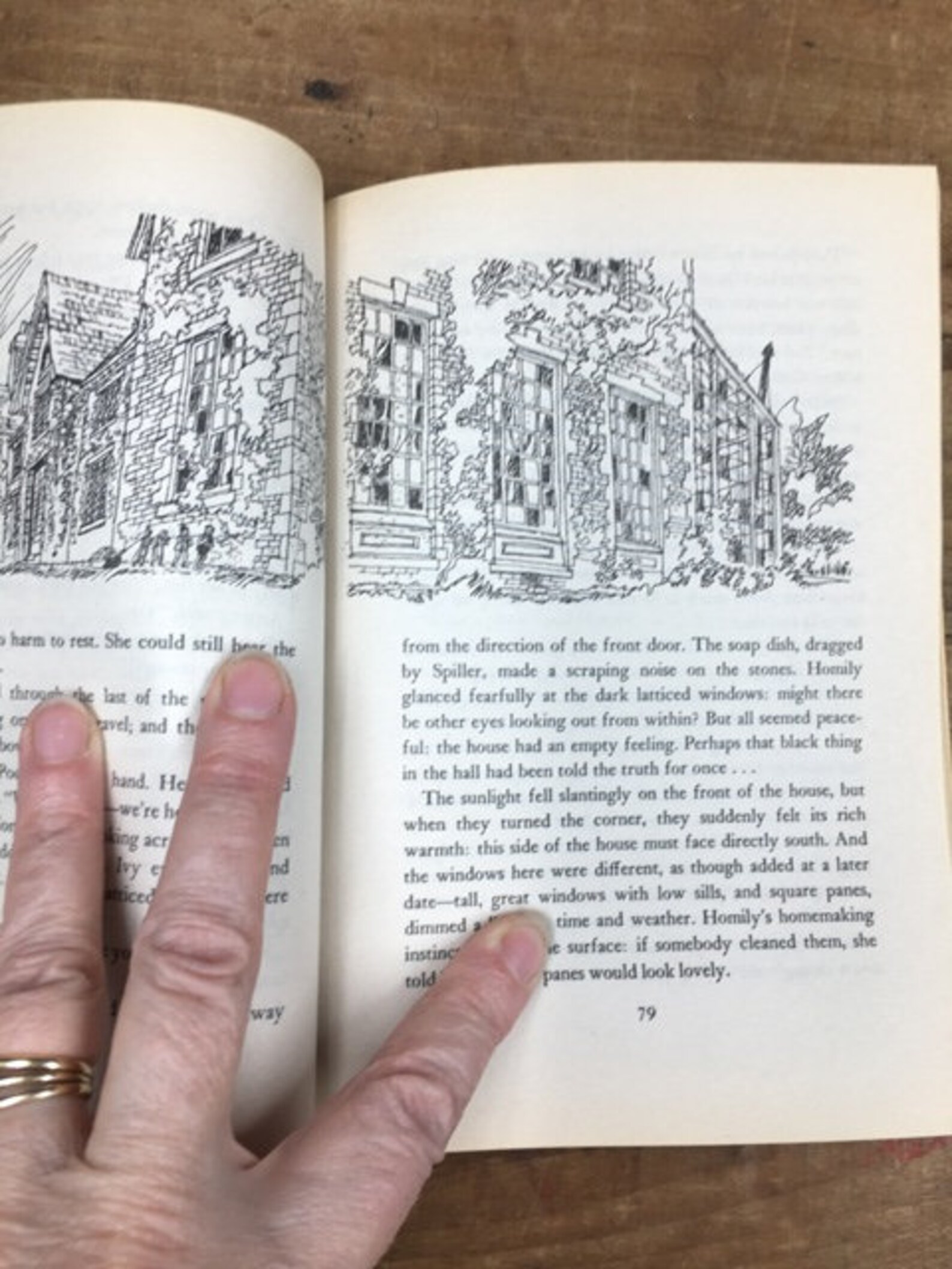 Borrowers Avenged by Mary Norton Preteen Fiction About A Tiny Family - Etsy