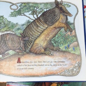 Jan Brett Berlioz the Bear & Armadillo Rodeo Children's Picture Book ...