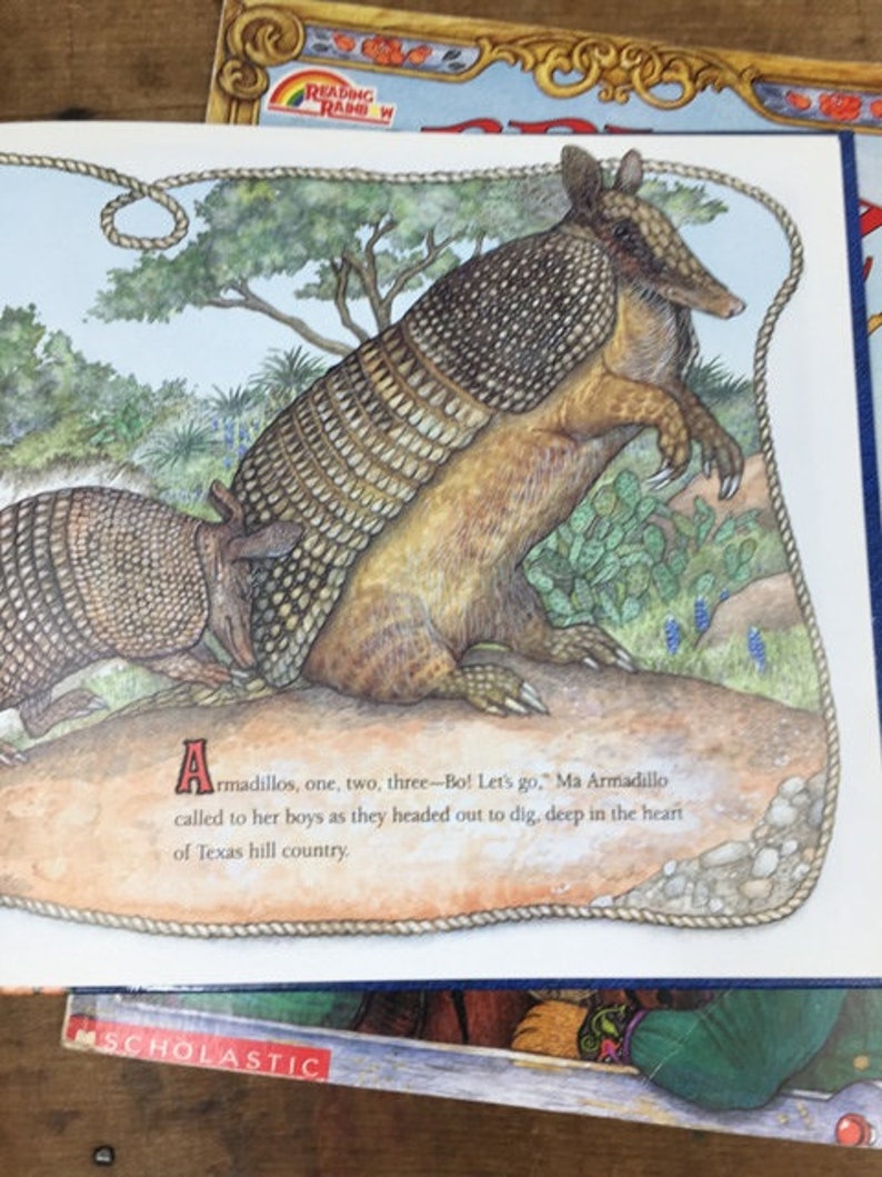 Jan Brett Berlioz the Bear & Armadillo Rodeo Children's - Etsy