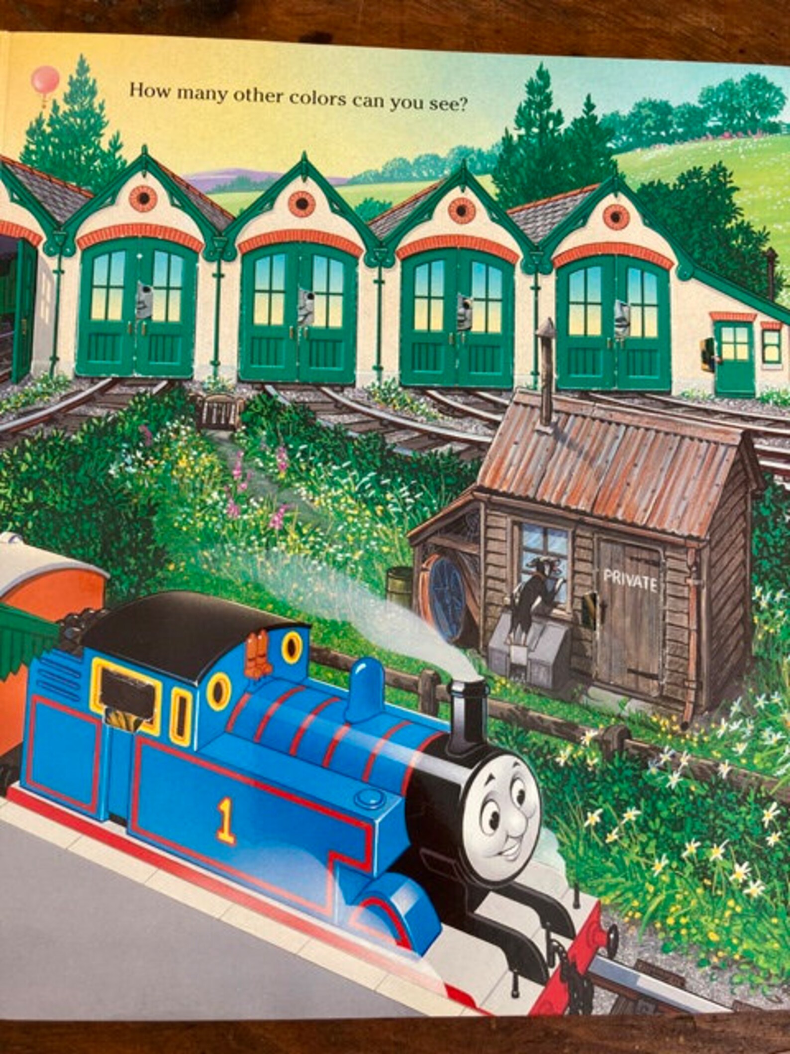 Thomas the Tank Engine Big Lift and Look Book Based on the Railway ...