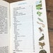 Pond Life A Golden Nature Guide to Common Plants and Animals of North ...
