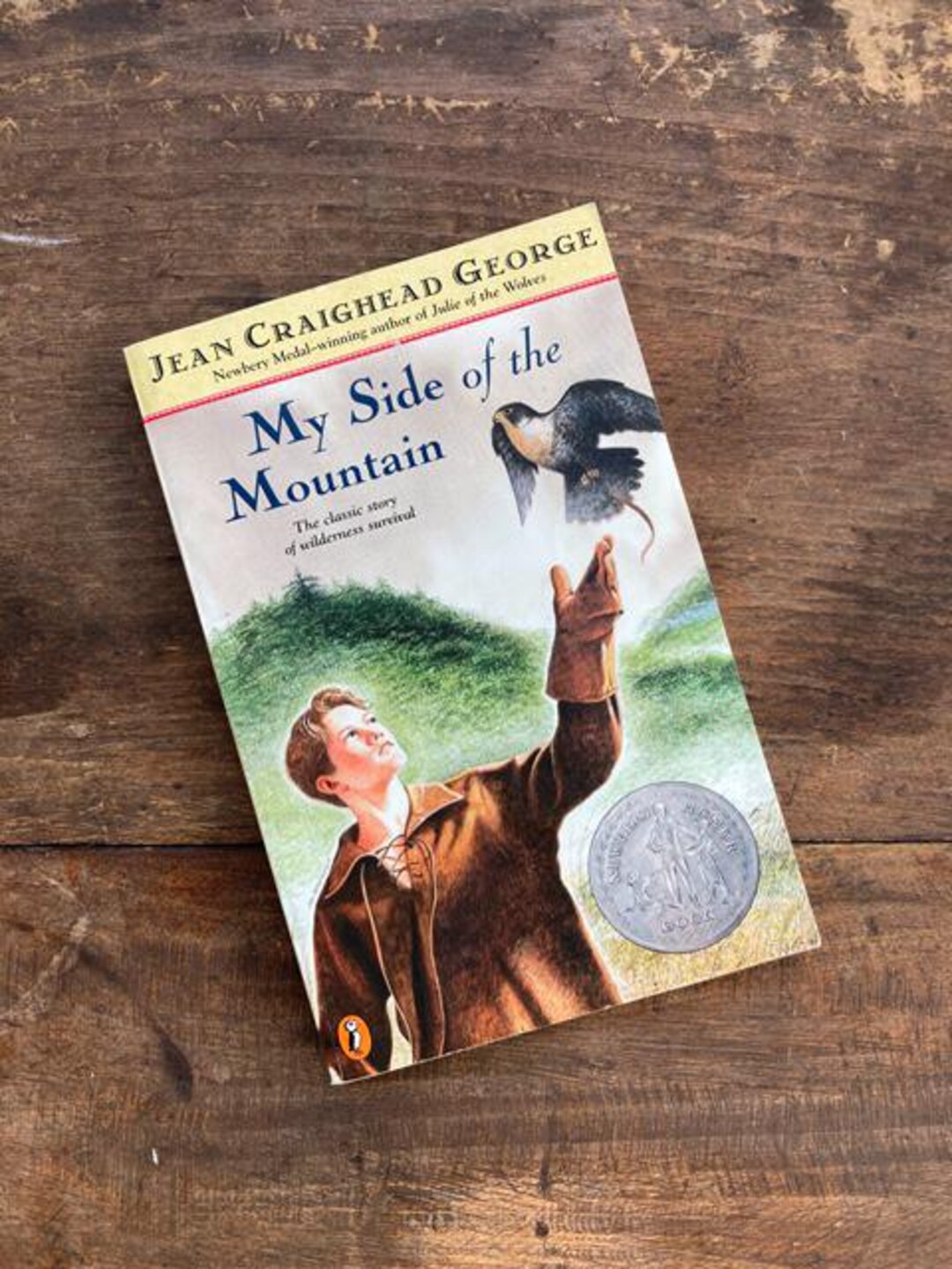 My Side of the Mountain by Jean Craighead George Young Adult Survival ...