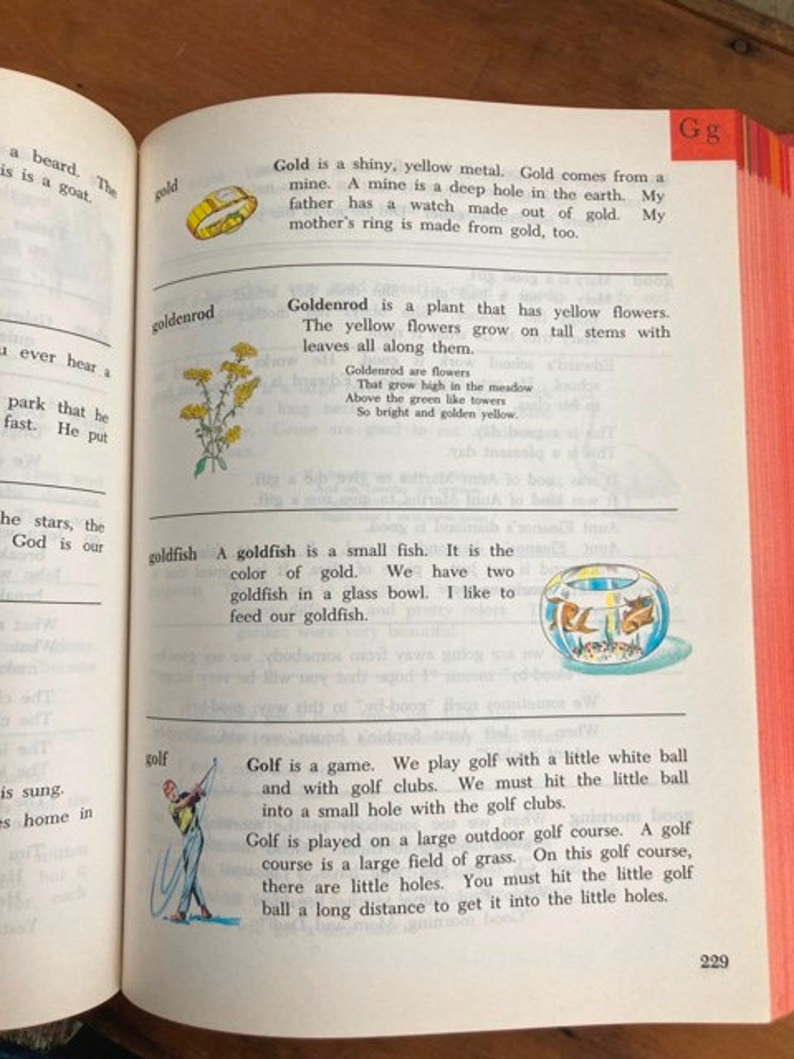 ABC the International Visual Dictionary Clute International - Etsy