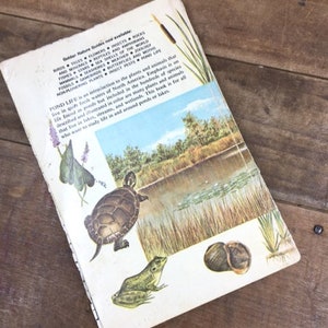 Pond Life A Golden Nature Guide to Common Plants and Animals of North ...