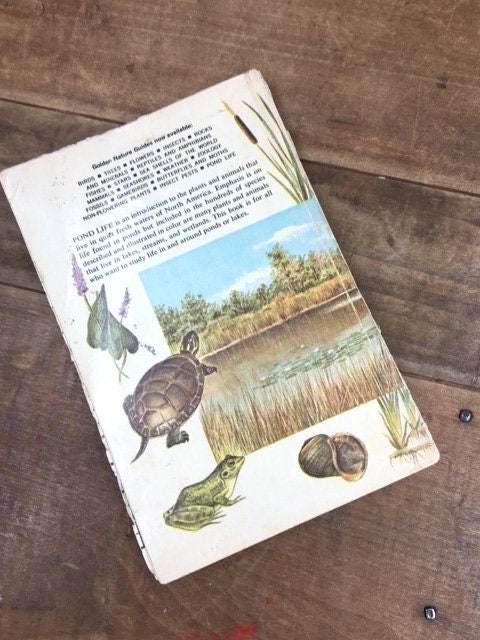 Ponds And Lakes Animals And Plants