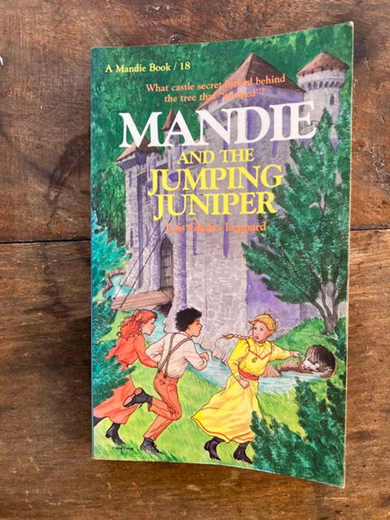 Mandie Mystery Book Series by Lois Gladys Leppard - Choose Your Title ...
