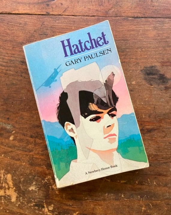 Hatchet The Book Drawings