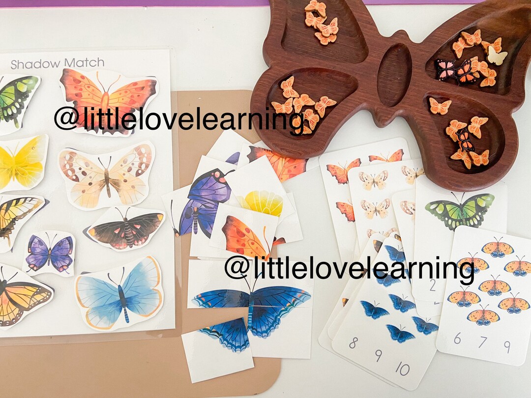 BUTTERFLY MINI PACK Butterfly Activities Counting Math Spelling Tracing ...