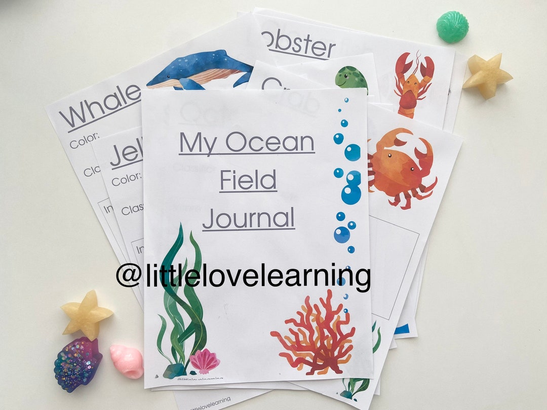 OCEAN JOURNALS Learning Ocean Animals Study Classification Summer ...