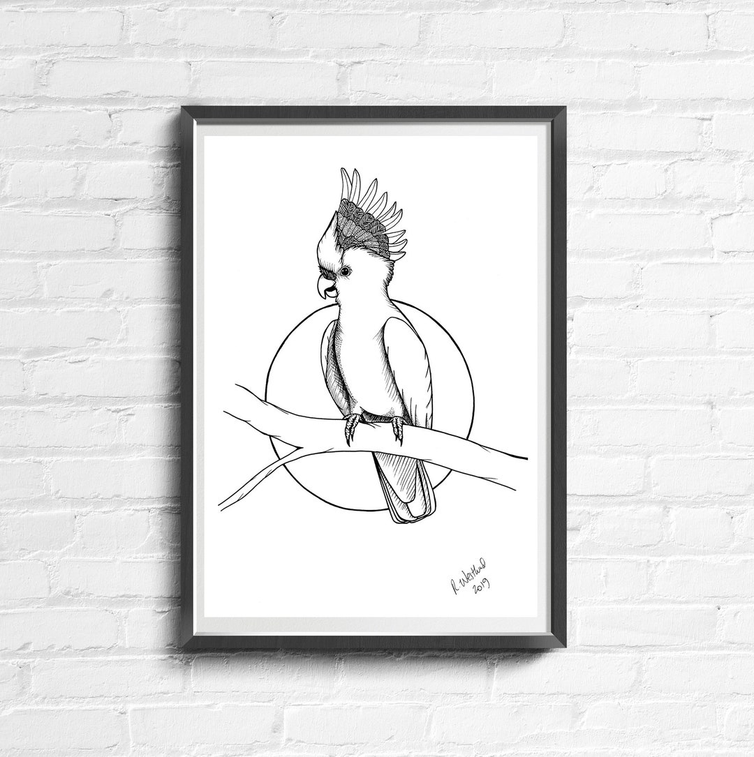 Major Mitchell Cockatoo fine Art Print - Etsy