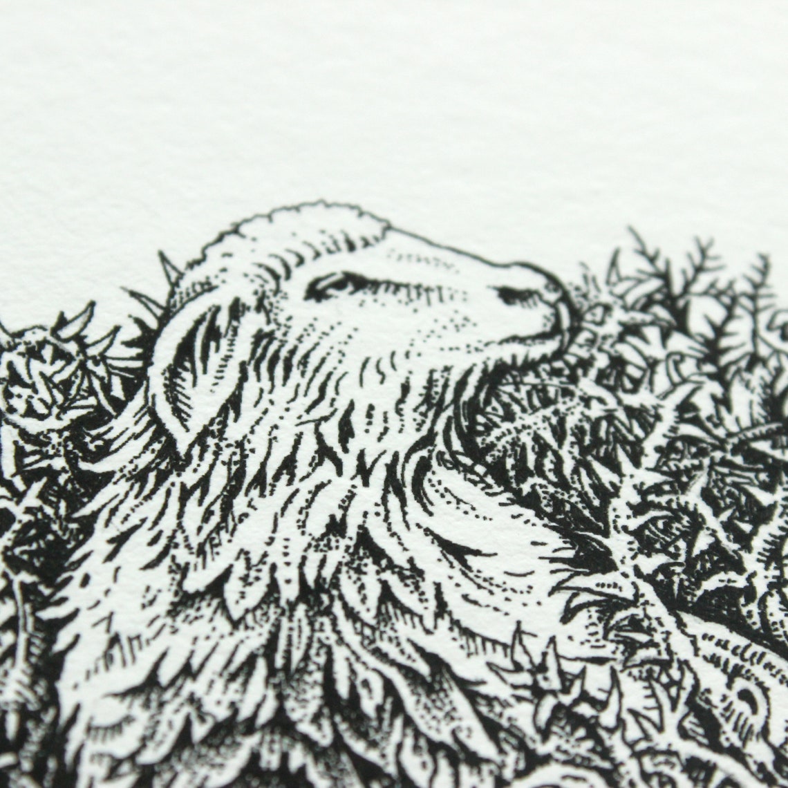 Zagubiona owca, wydruk Giclée z rysunkiem tuszem - Etsy Polska