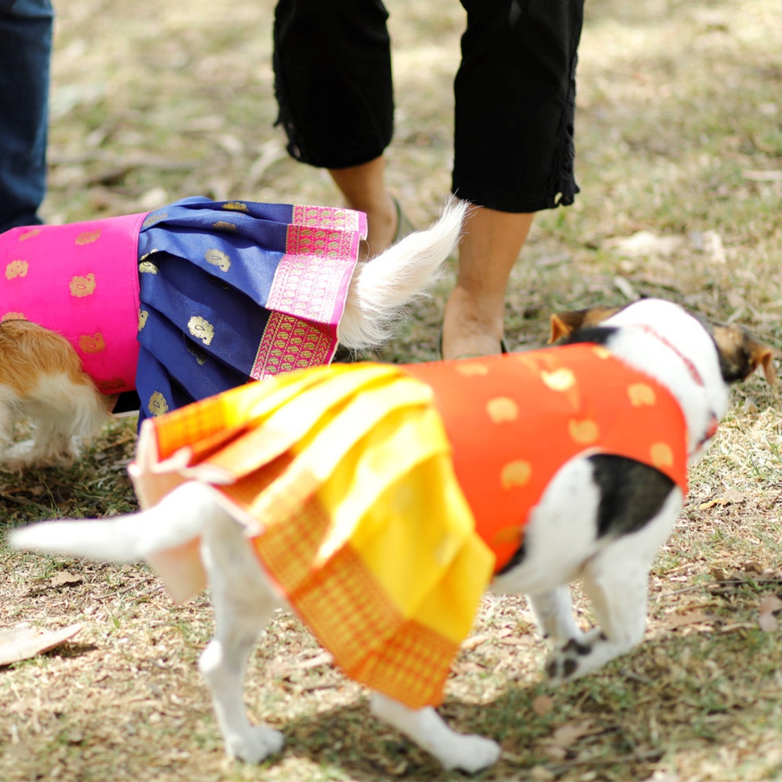 DOG PATTU PAAVADAI Worlds First Pattu Pawadai Dog Frock Dog Dress ...