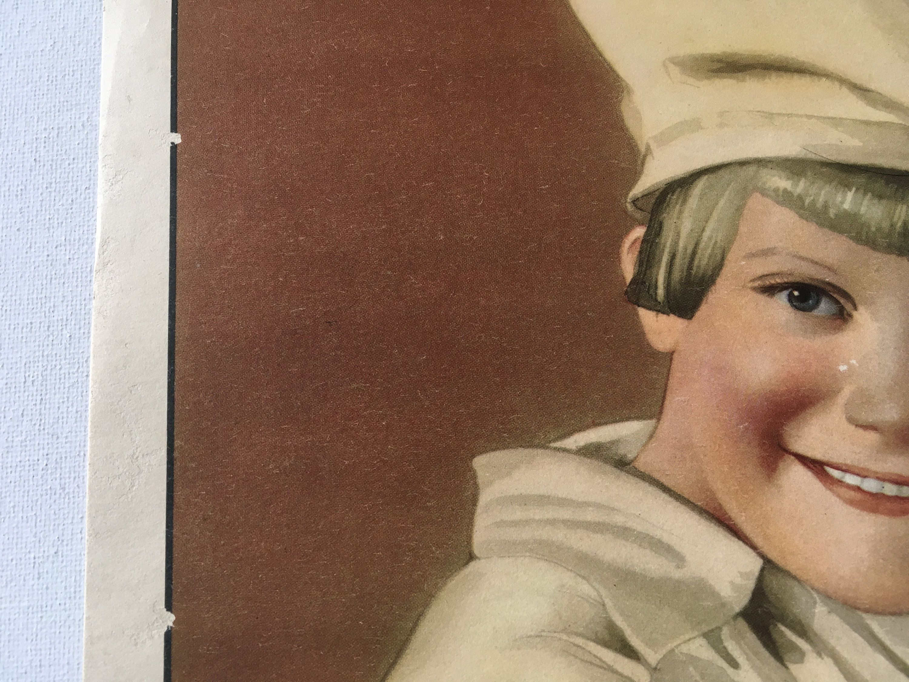 Poster Macmillan Educational Poster No. 47 A Live Teddy - Etsy