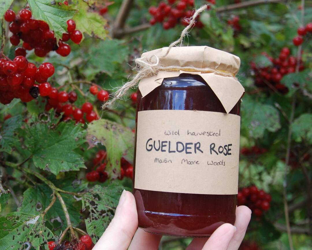 Guelder Rose Kalyna Jam Seedless Wild Harvested in Clean Air - Etsy UK
