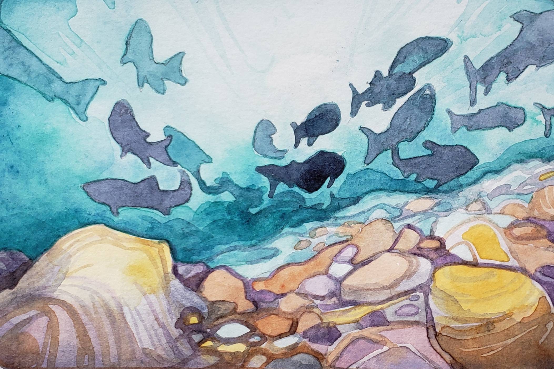 Salmon Swimming Upstream Watercolor