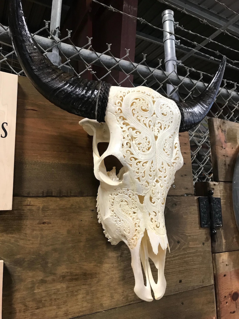 Hand Carved Cow Skulls - Etsy