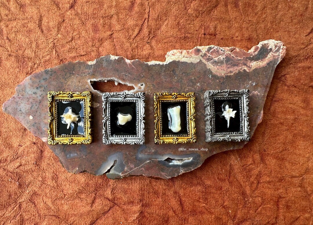 Mystery Tiny Bone Frame - Etsy