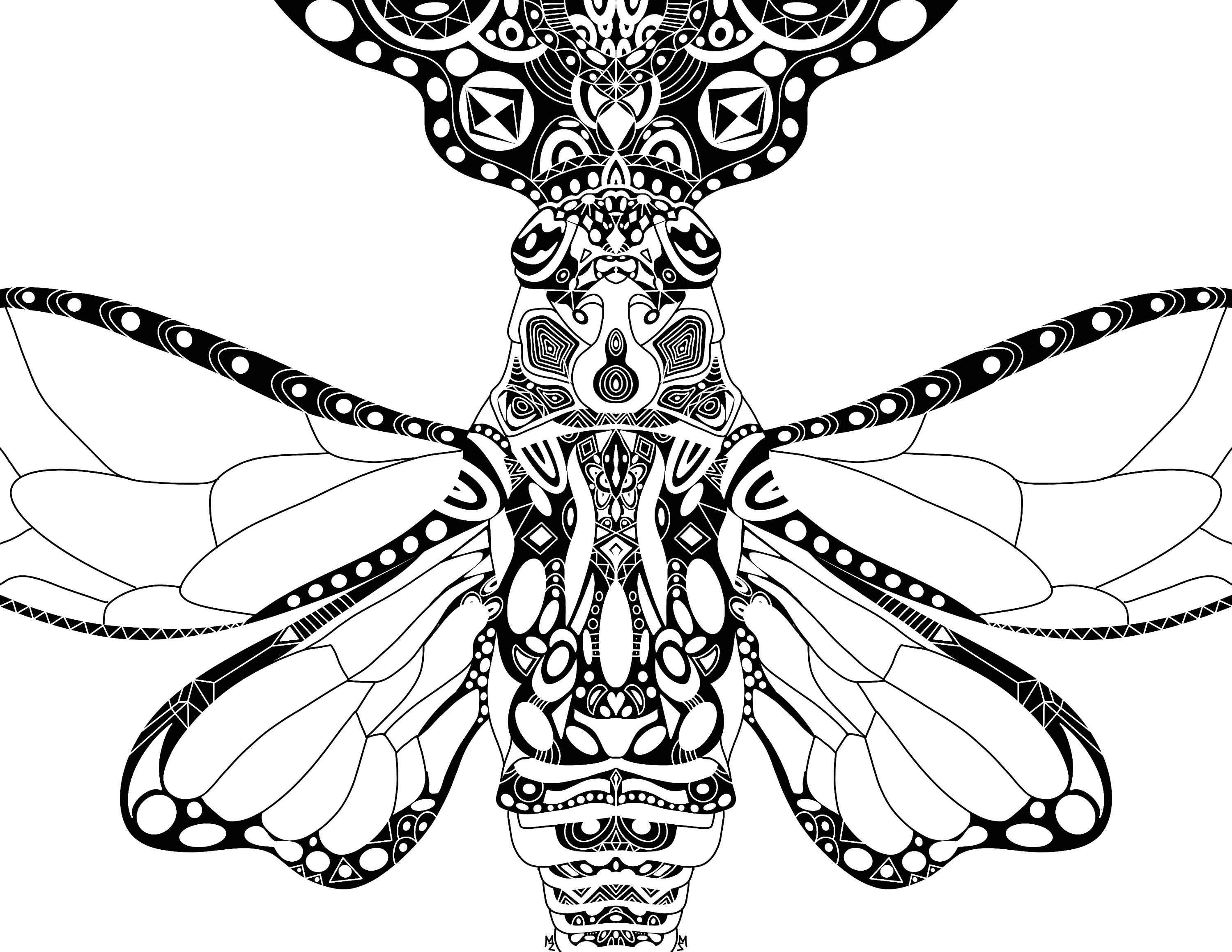 Bug Coloring Page - Etsy