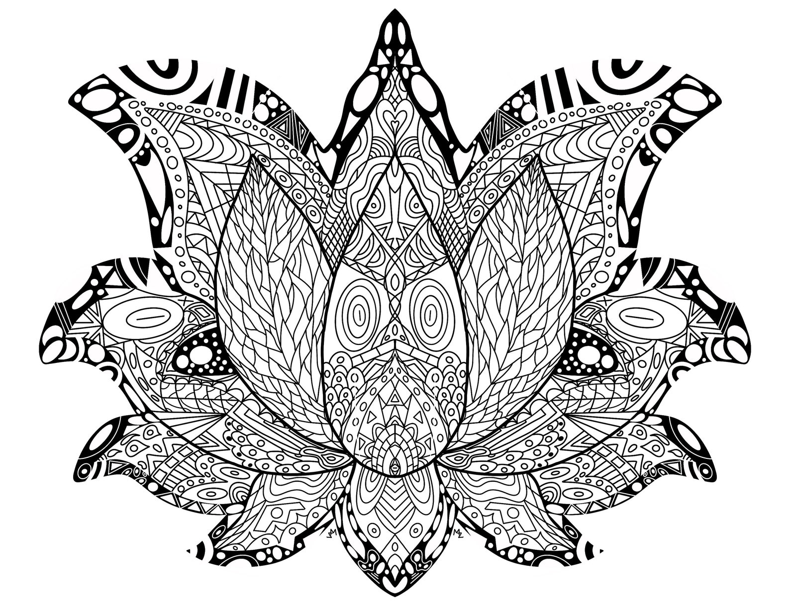 Lotus Coloring Page - Etsy