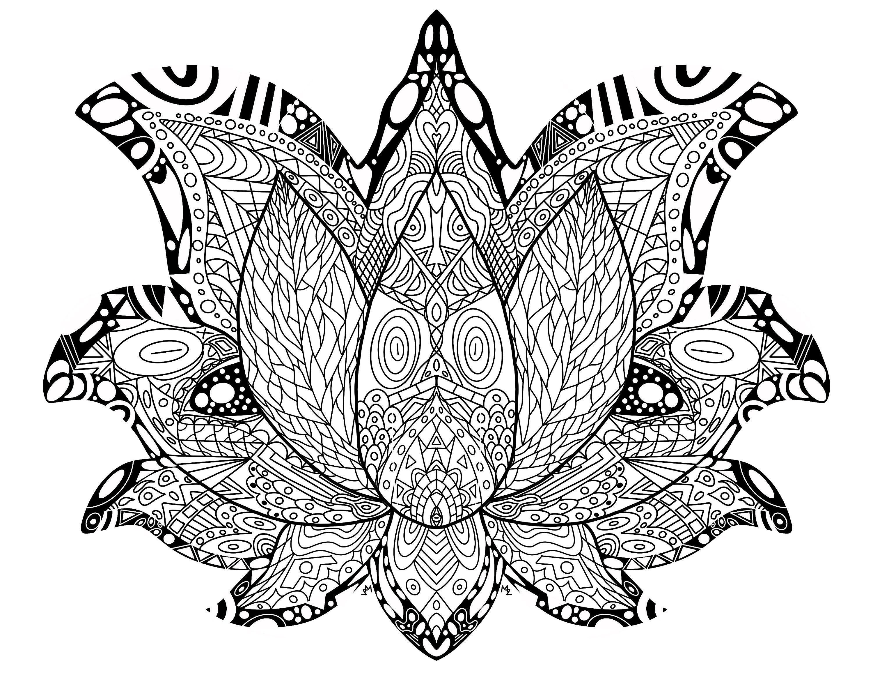 Lotus Coloring Page - Etsy