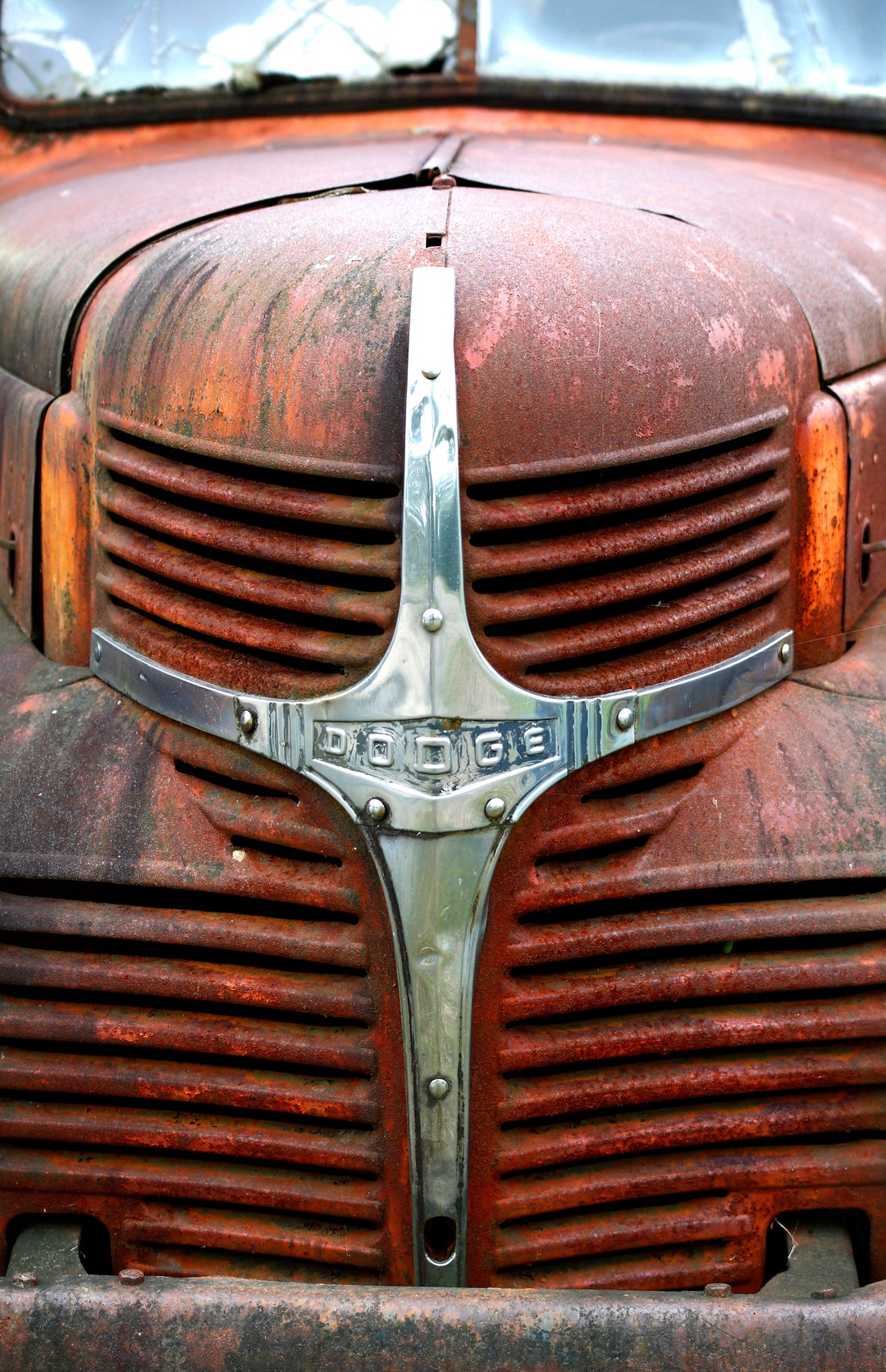 Old Rusty Dodge Truck Detail Two Photographic Prints - Etsy