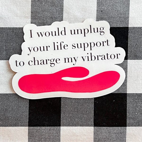 Vulgar Car Decals - Etsy