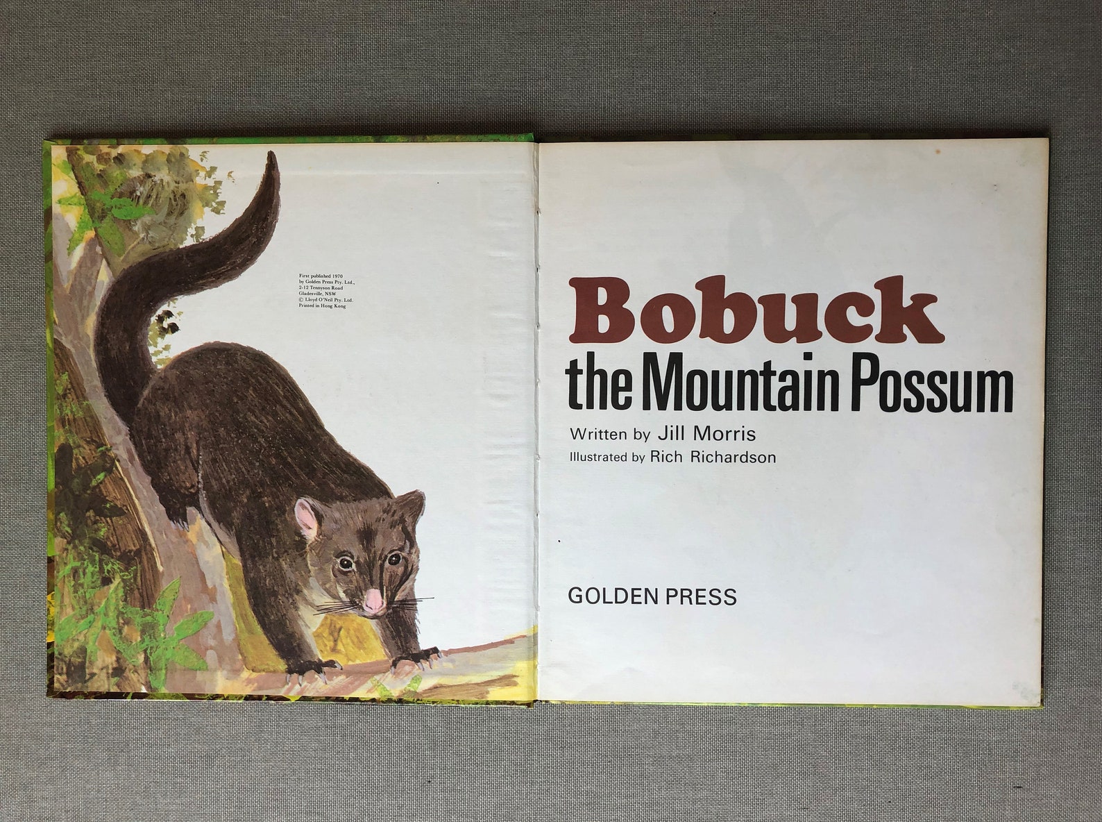 Bobuck the Mountain Possum by Jill Morris an Australian Golden - Etsy