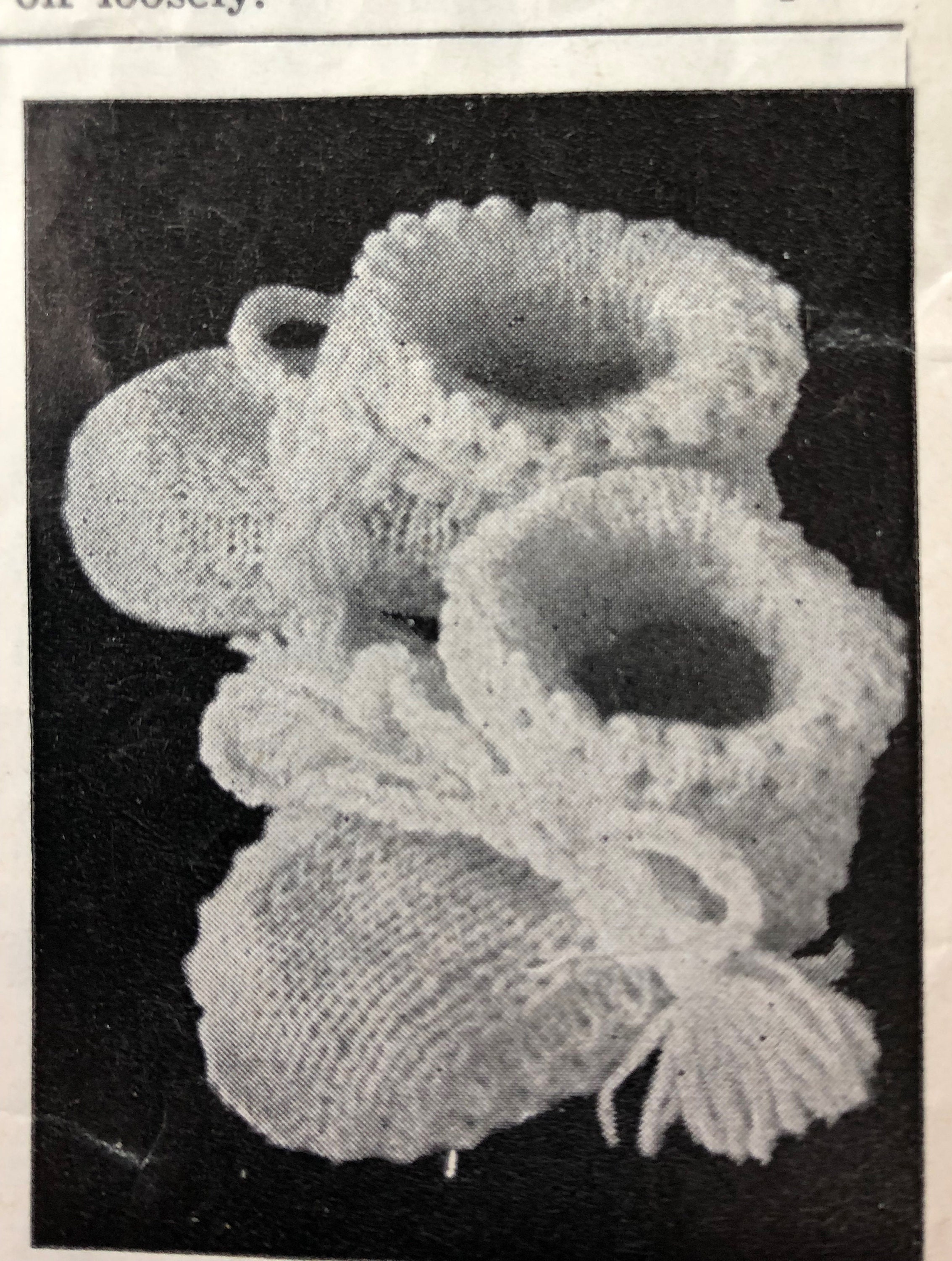 Paragon Bootee Book, Knitting Patterns, 21 Pairs of Bootees - Etsy