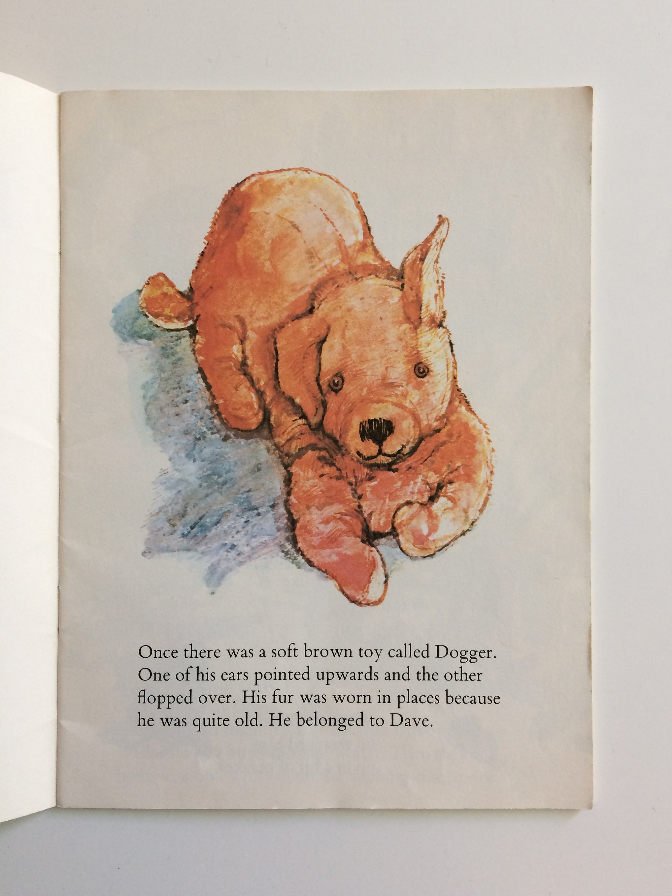Dogger by Shirley Hughes Vintage Children's Book Picture Lions - Etsy
