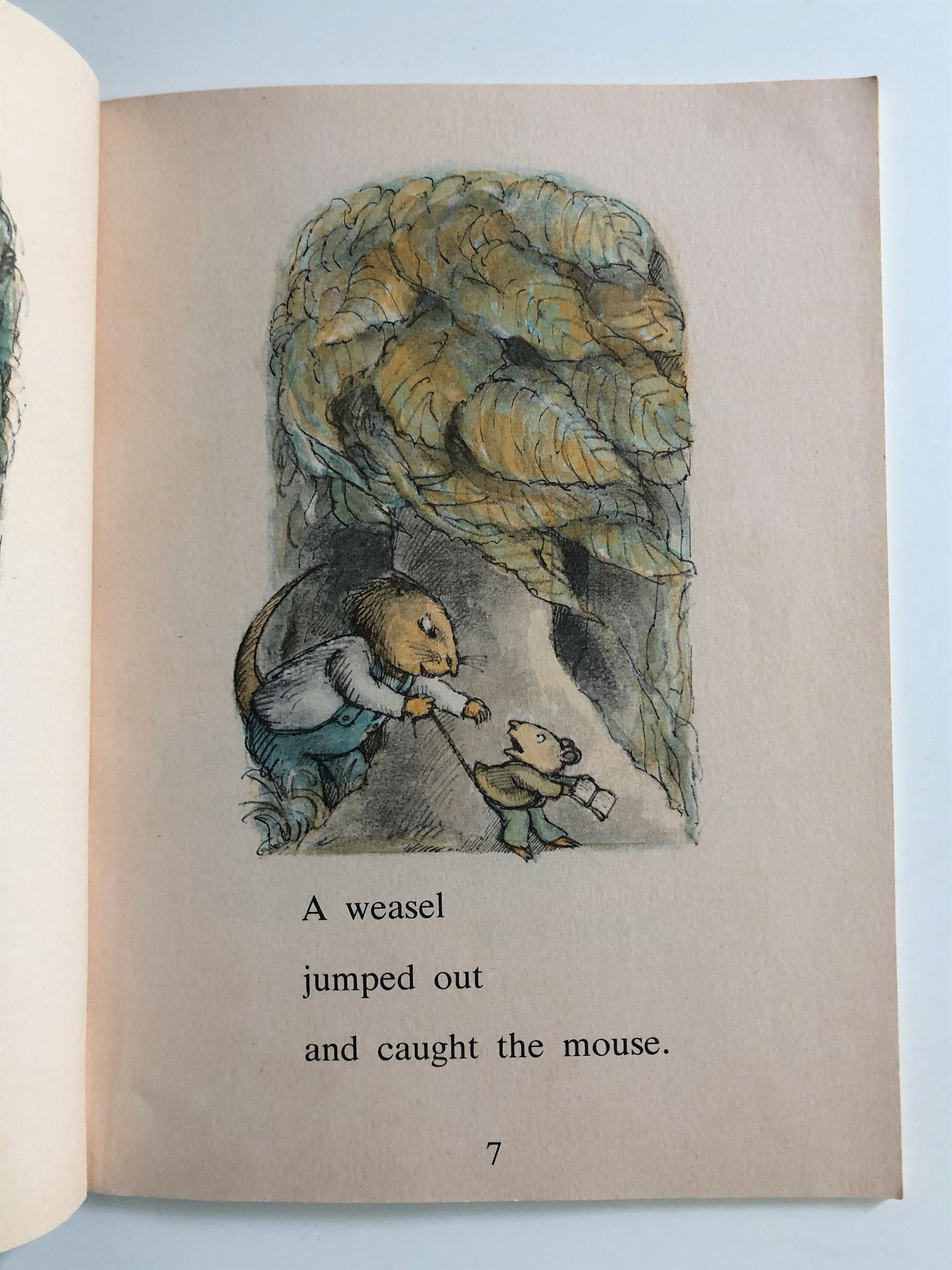 Mouse Soup by Arnold Lobel Vintage Children's Book - Etsy UK