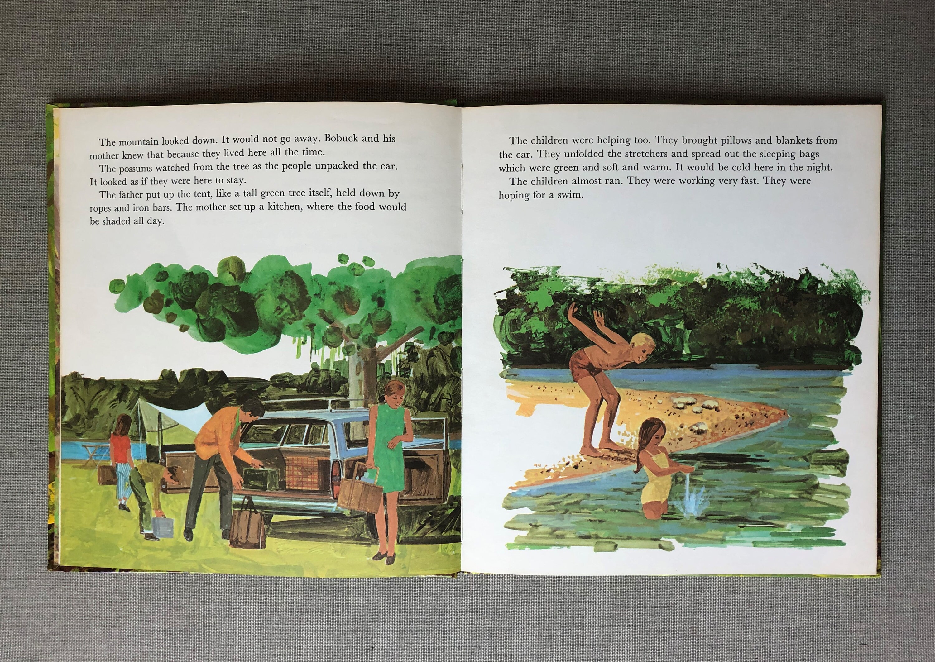 Bobuck the Mountain Possum by Jill Morris an Australian Golden - Etsy