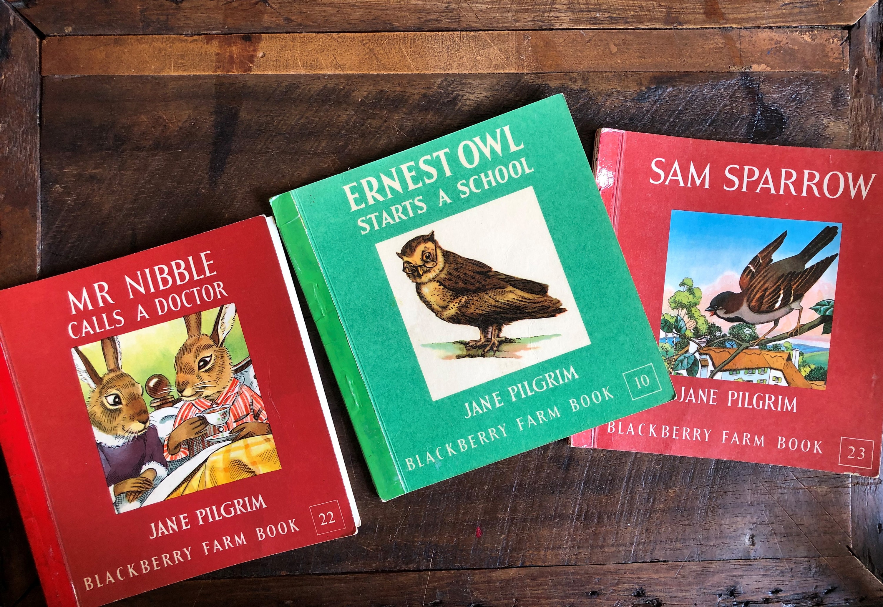 Blackberry Farm Books by Jane Pilgrim Set of 3 Mr Nibble - Etsy Australia