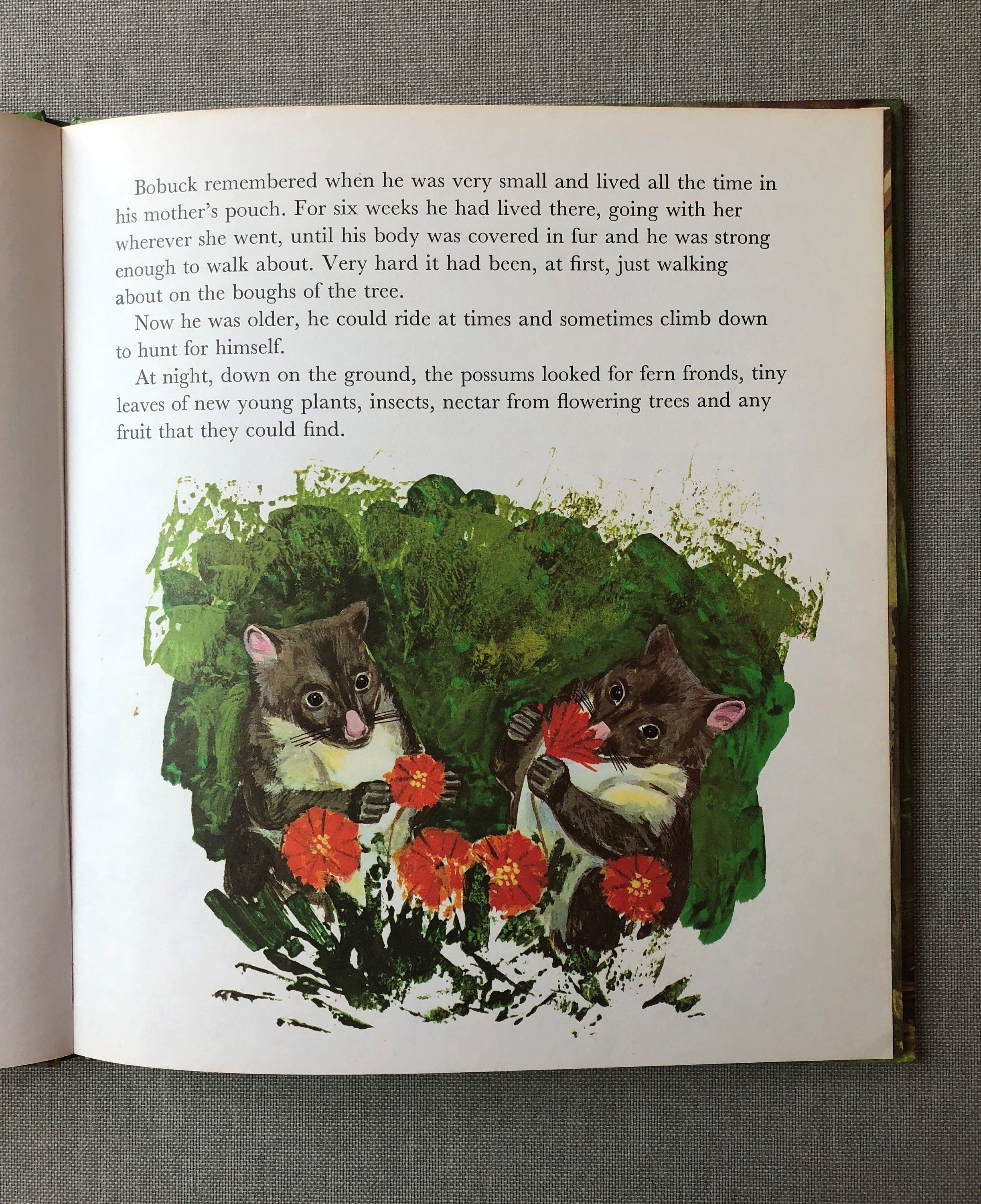 Bobuck the Mountain Possum by Jill Morris an Australian Golden - Etsy