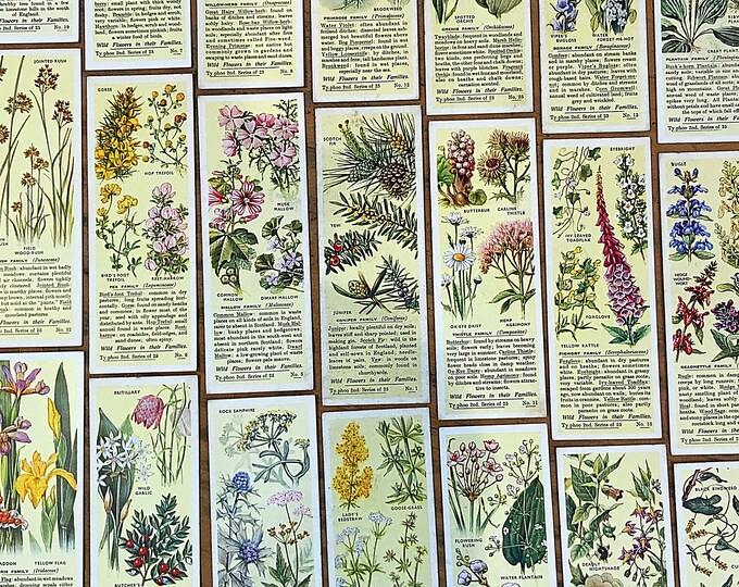 Vintage Typhoo Tea Wild Flowers Cards for Junk Journals, Floral ...